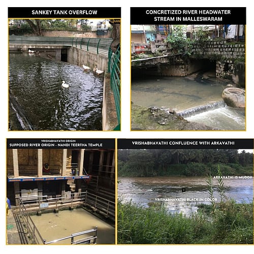 Visualizing the Vrishabhavathi river to keep it alive