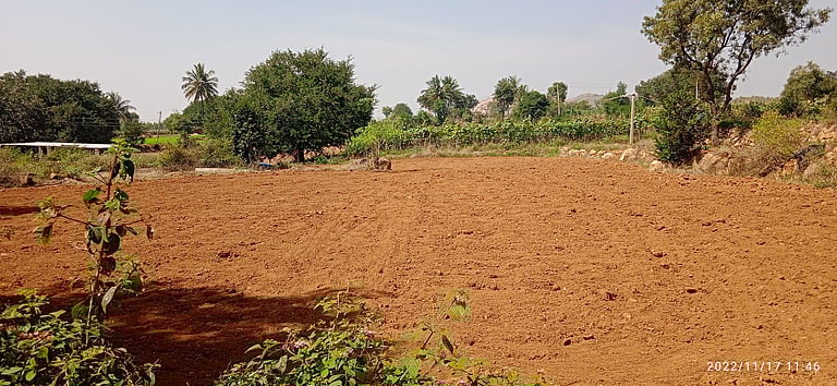 Desilting tanks and uplifting collective spirits