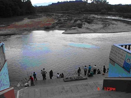 Temple fish sanctuaries: Last bastions of native fish and pristine ...