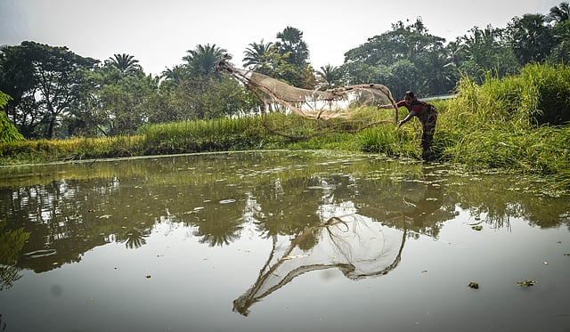 Utilising GIS and machine learning to identify rainwater harvesting ...