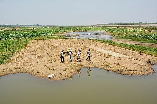 Anicuts affect Mahanadi's flow