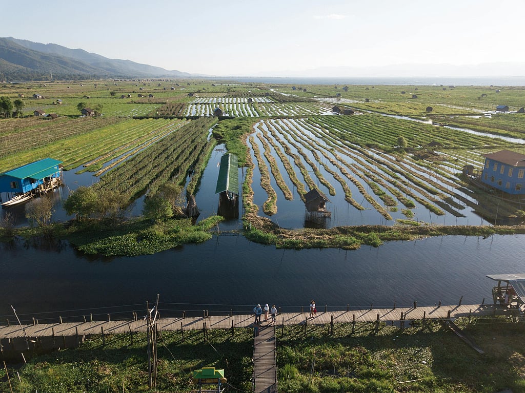 Floating-bed agriculture: A flood-proof future for Indian farming