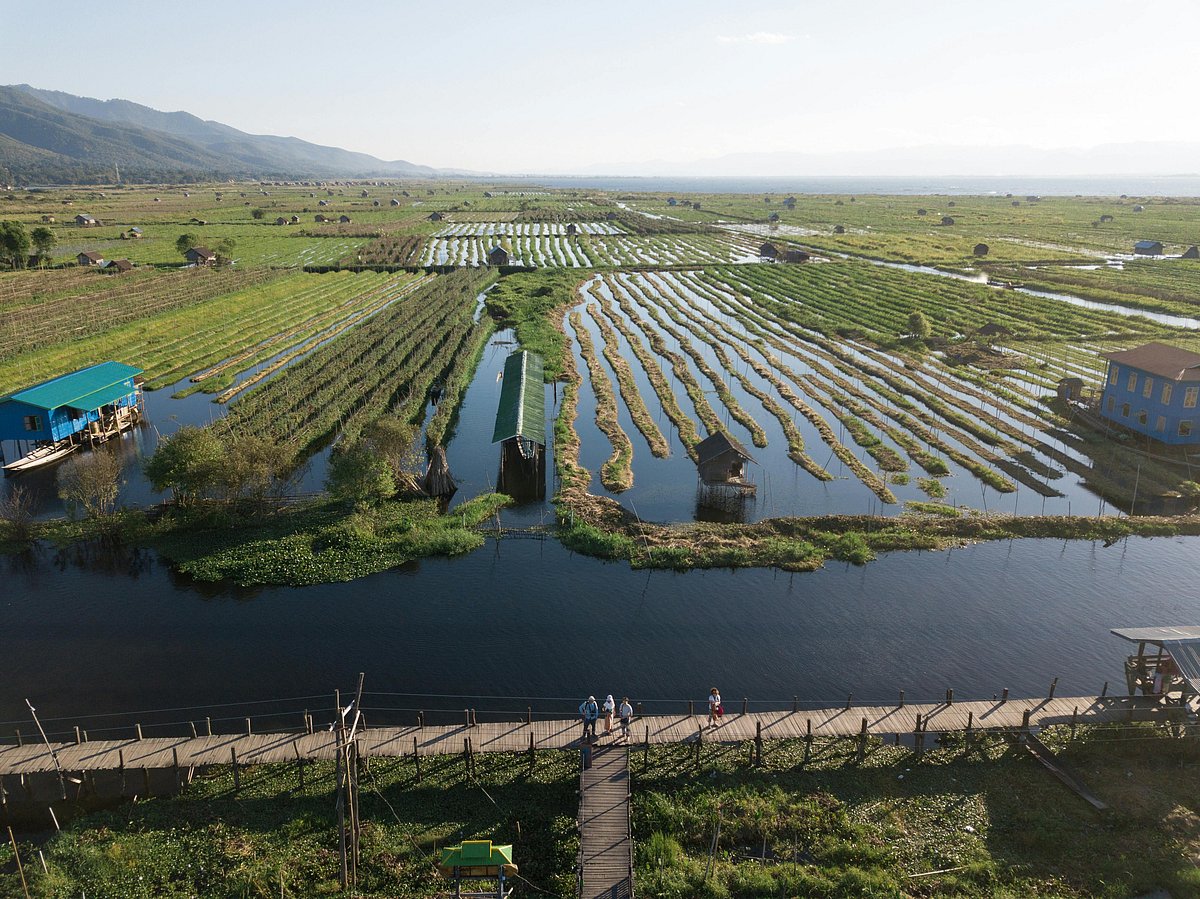 Floating-bed agriculture: A flood-proof future for Indian farming