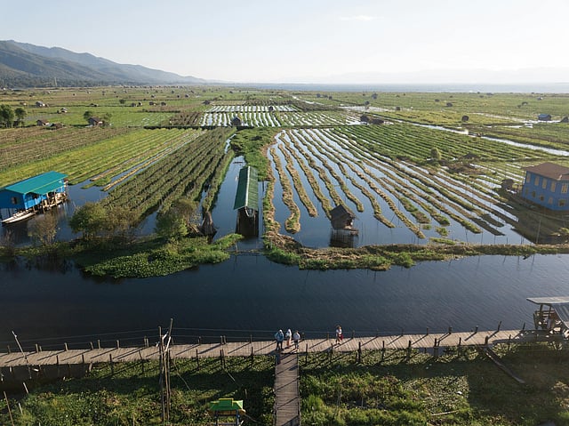 Floating-bed agriculture: A flood-proof future for Indian farming