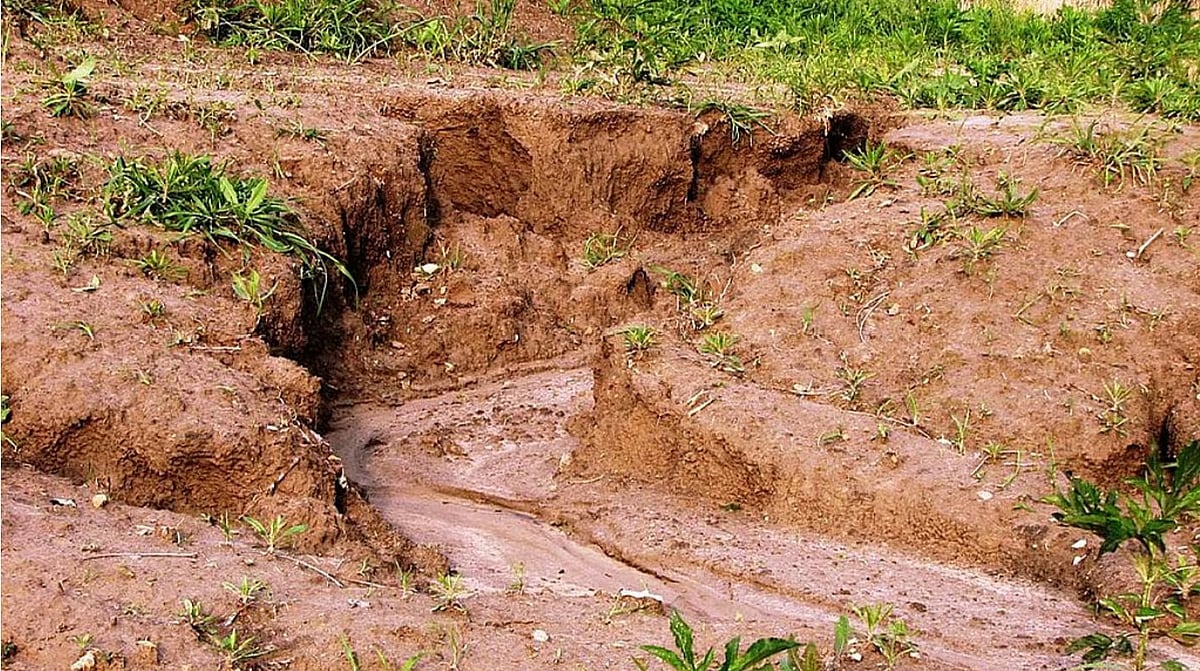 Soil Erosion By Water