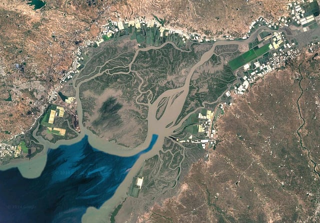 River Sediments Explained: Formation, Transport and Human Impact