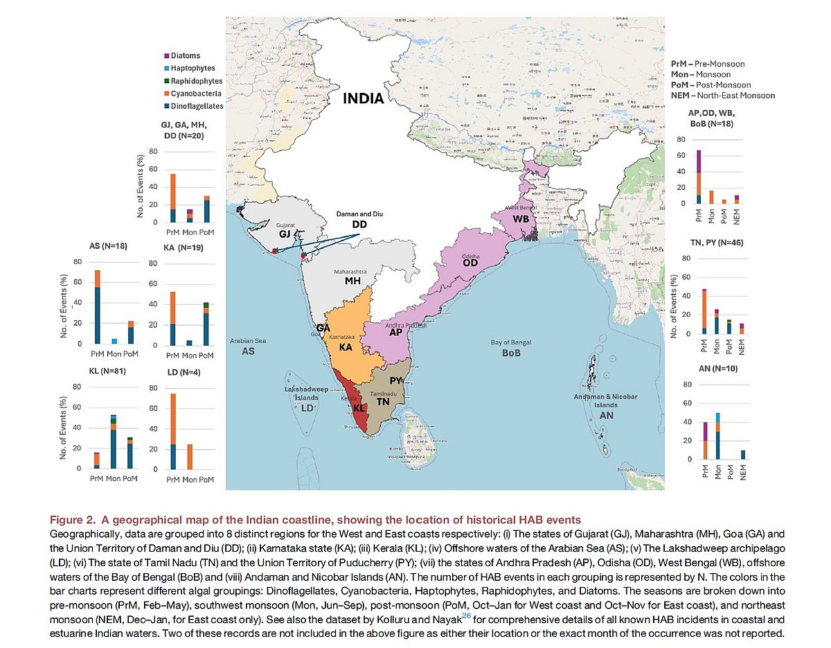 Toxic blooms invade India’s waters
