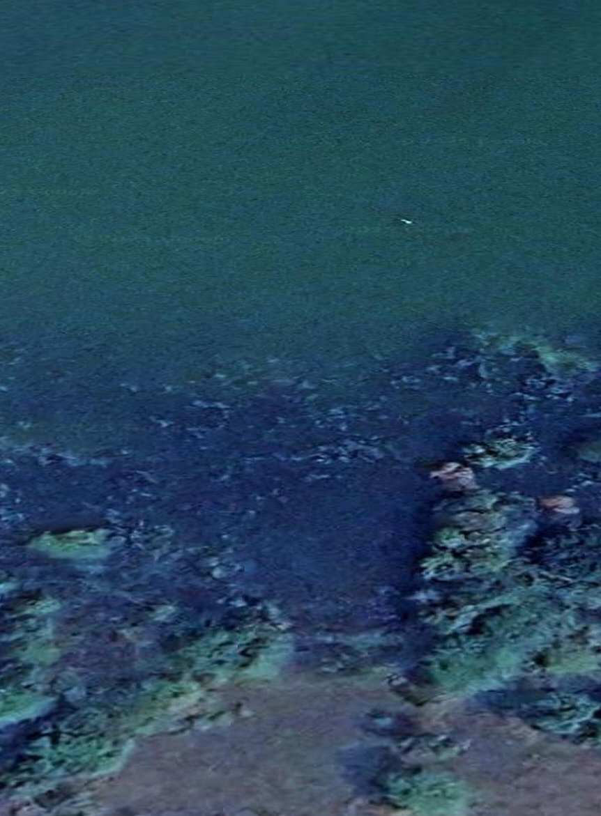 Toxic blooms invade India’s waters