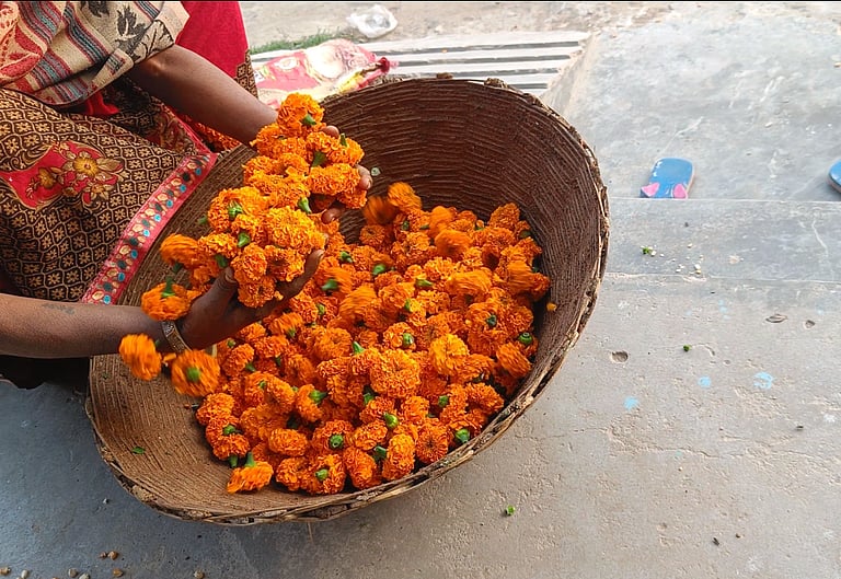 Floriculture in Bihar: How Marigolds Are Changing Rural Livelihoods.