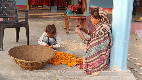 Floriculture in Bihar: How Marigolds Are Changing Rural Livelihoods.
