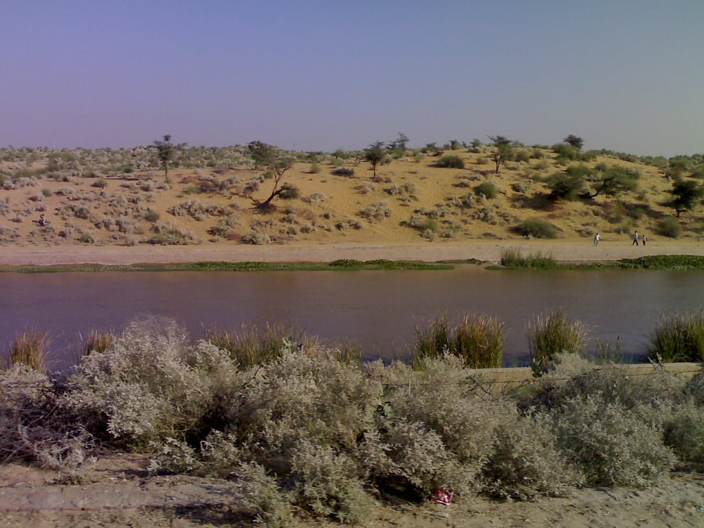 The greening of Thar: Unpacking climate change and water realities in India