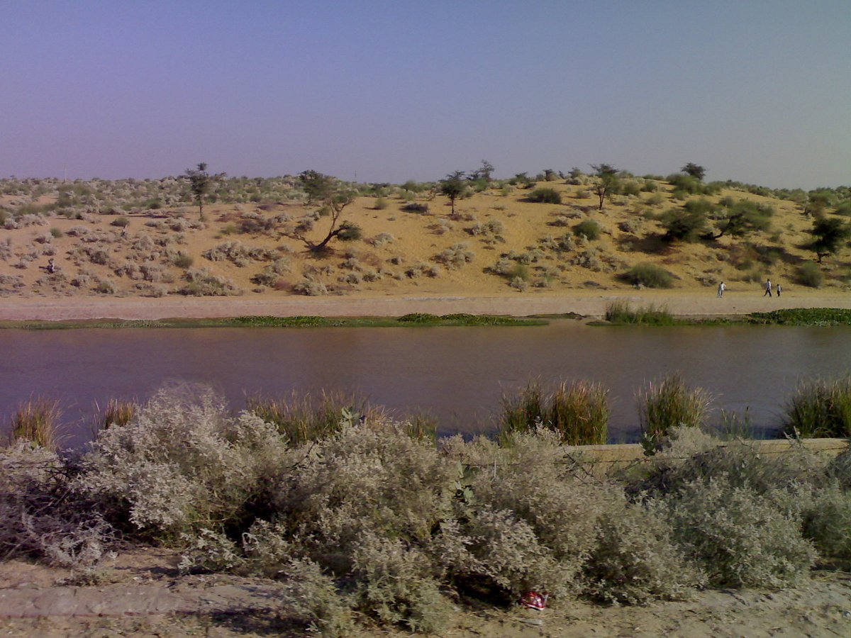 The greening of Thar: Unpacking climate change and water realities in India