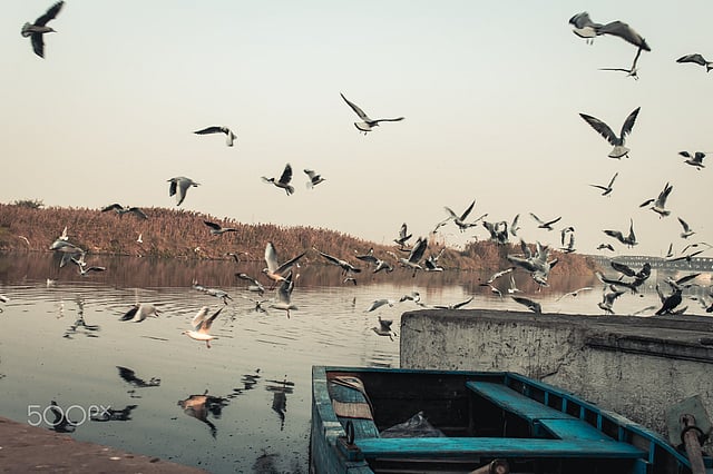 Rivers and Lakes Conservation in India - India Water Portal