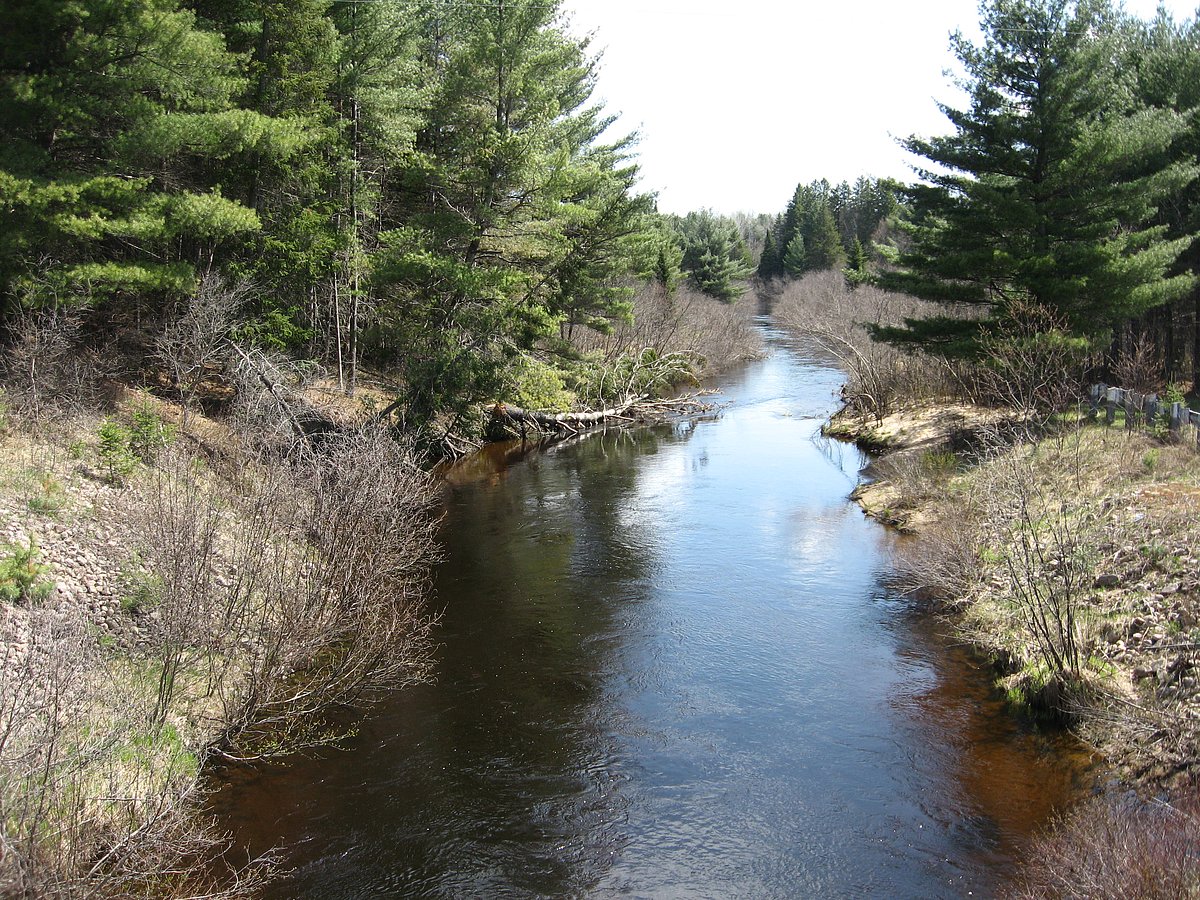 Reviving India's Drylands: Community-Led Watershed Success Stories