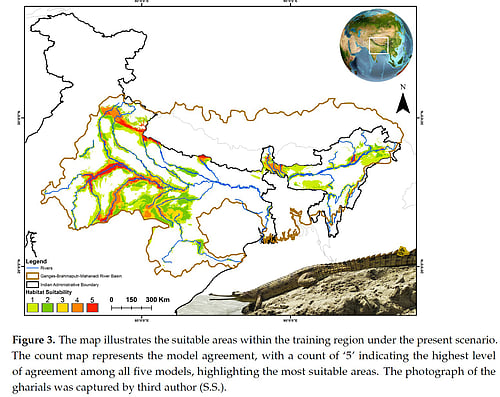 River Guardians: Indian Gharial's Fight for Survival in Changing Climates