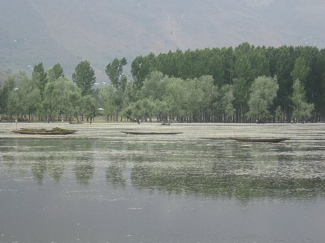 From lake to plate: Heavy metal contamination in Kashmir's lakes ...