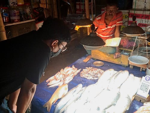 The Culinary Delight of Padma Hilsa: Tripura's Aquatic Treasure