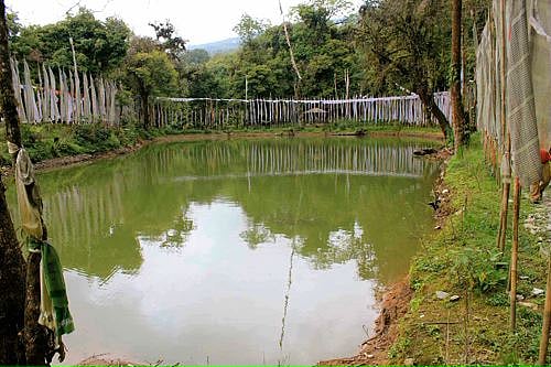 A story of resurgence - A video featuring the revival of Doling lake ...