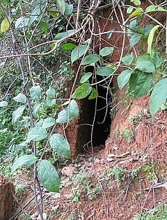 Surangas, the disappearing lifeline of the farmers of Kasargod, Kerala