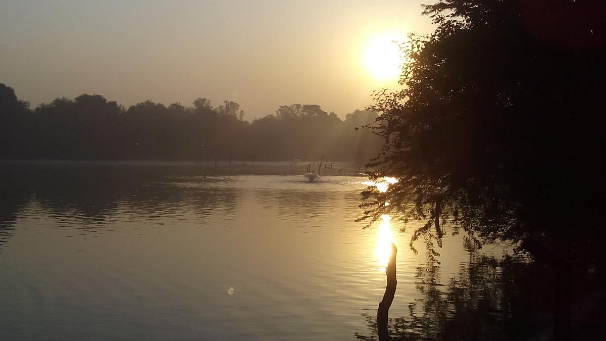 Urban lake governance and sustainability