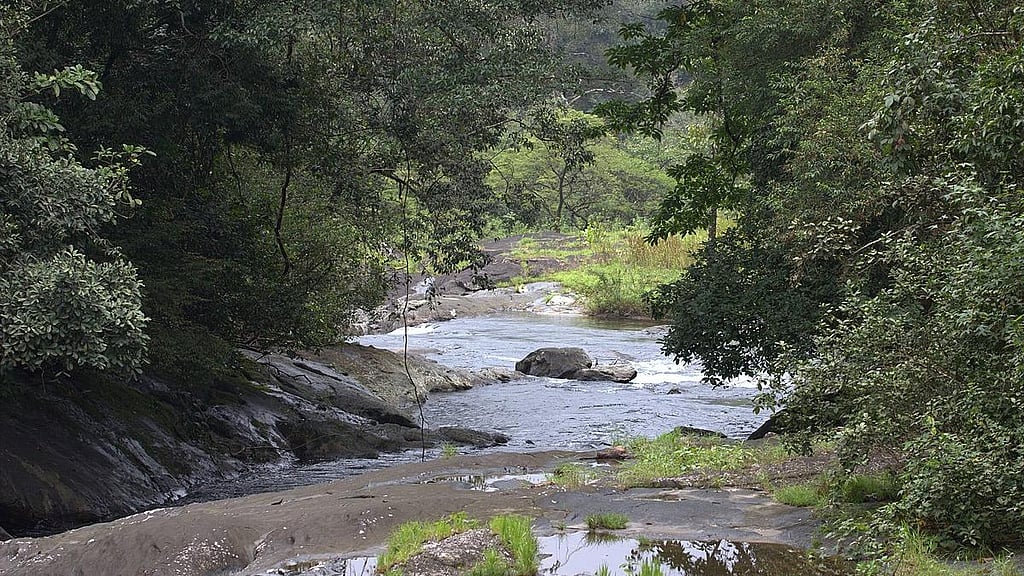 Biodiversity - crucial for survival of freshwater ecosystems!