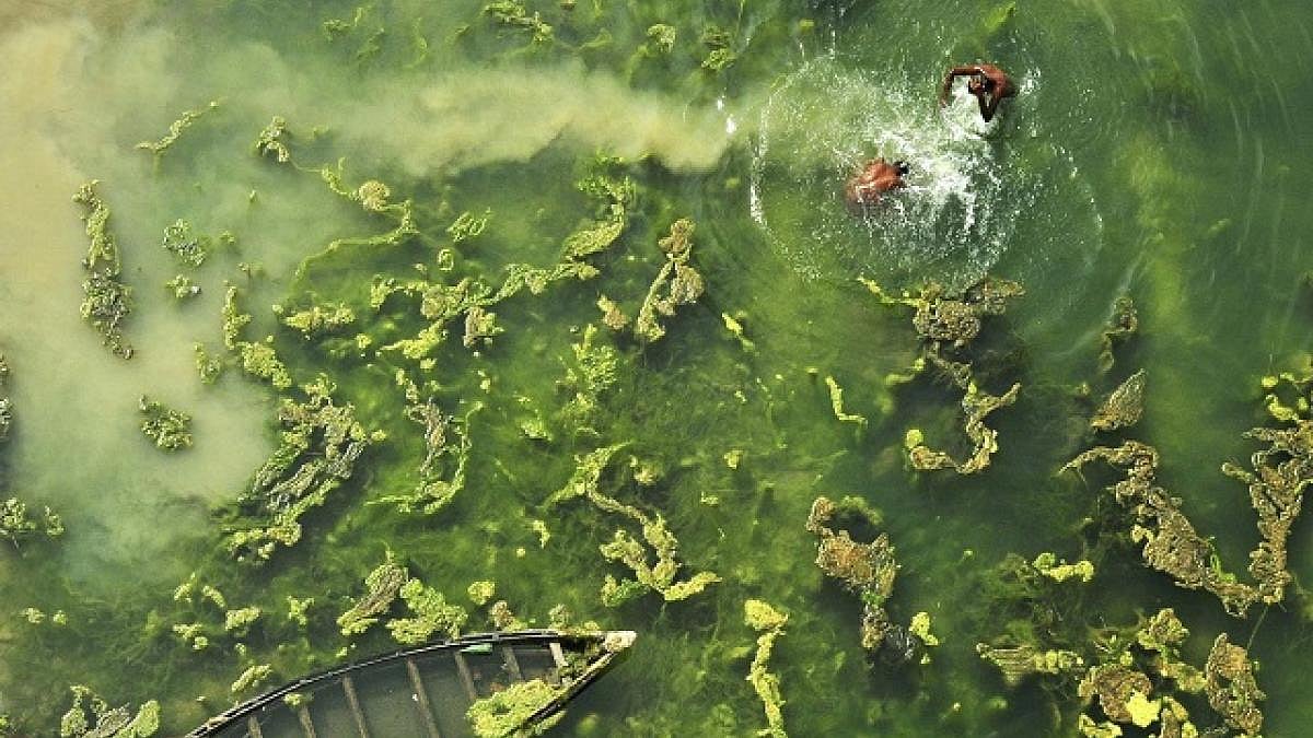 Conserving India’s freshwater ecosystems: A shared vision