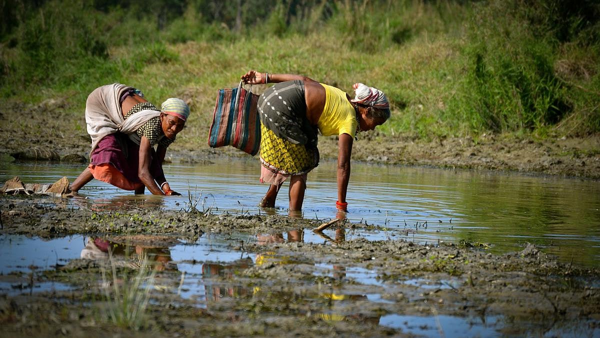 Life by the Maguri Beel