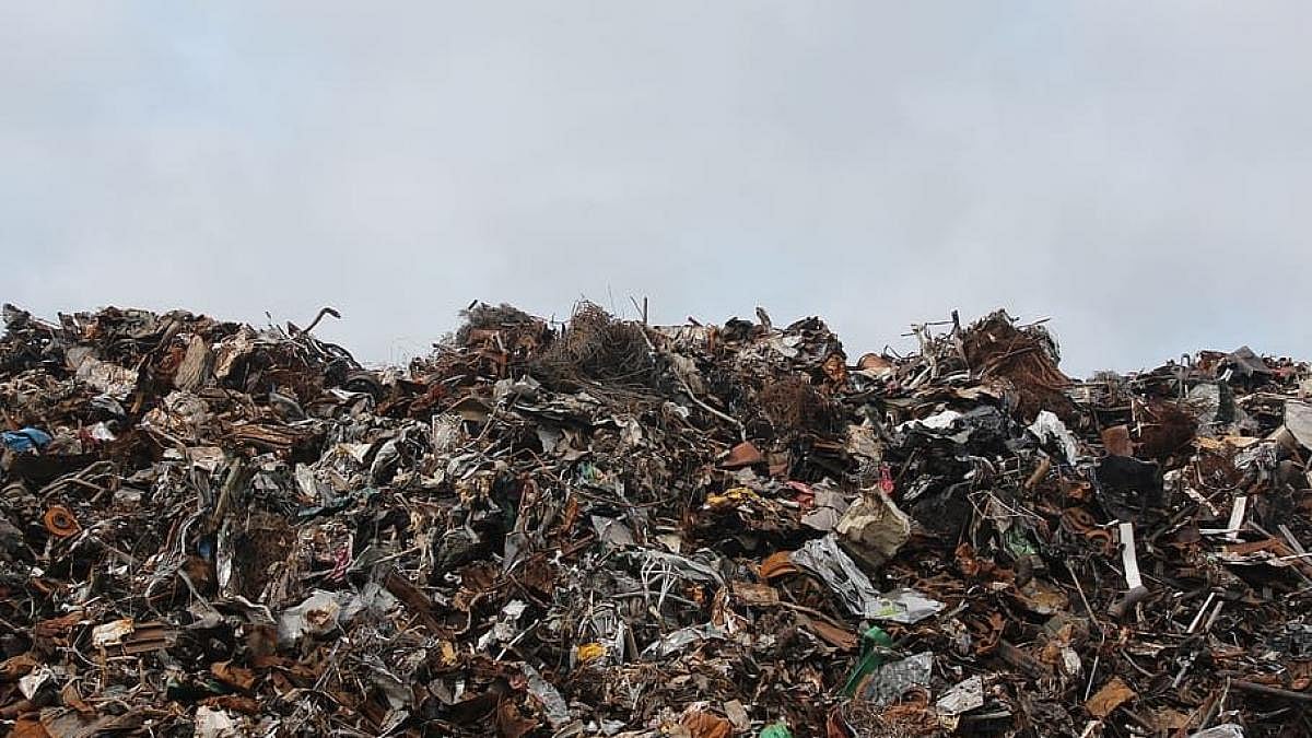 Recycled municipal solid waste improves soil productivity and ...