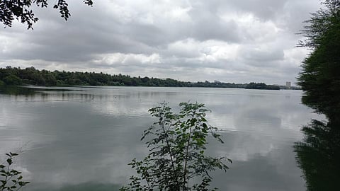 Jakkur Lake Management: Fostering community action for ecological ...