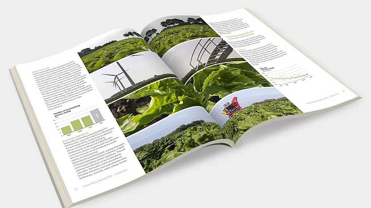 Innovation in the face of CSR compliance
