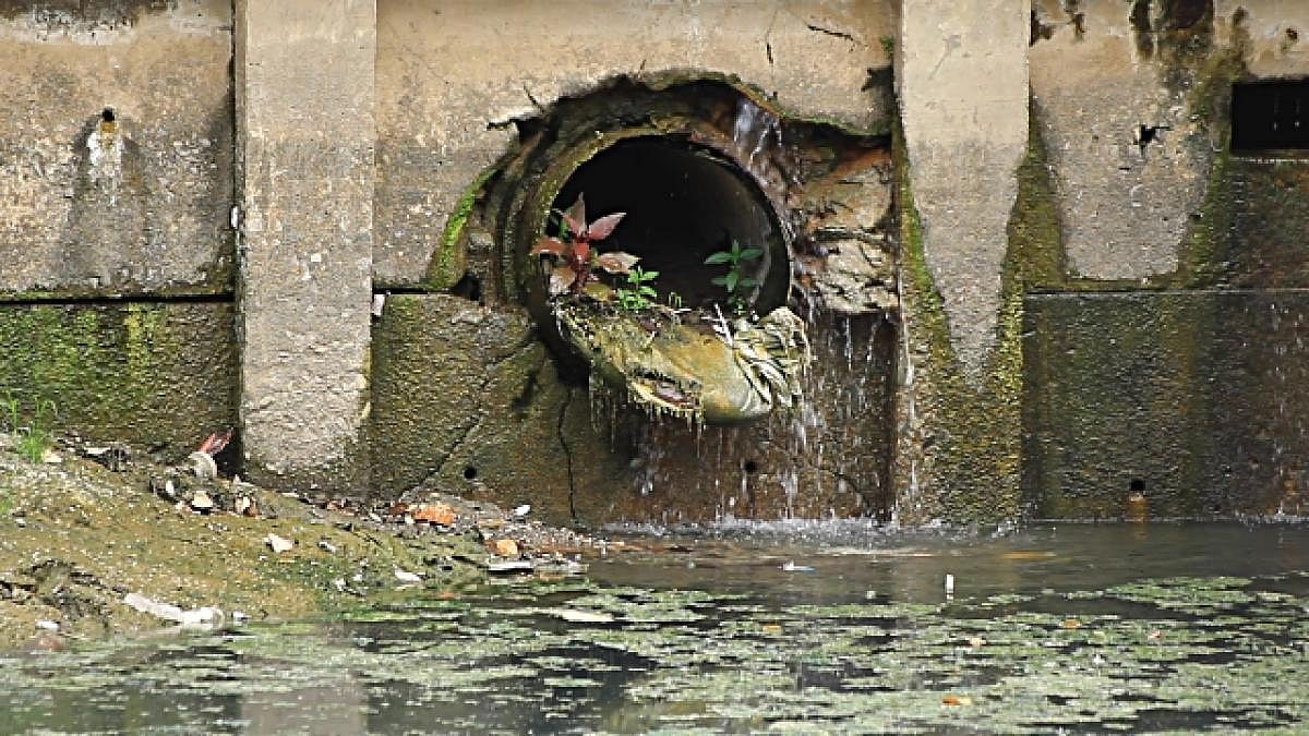 Preventing contamination of river Danro in Jharkhand