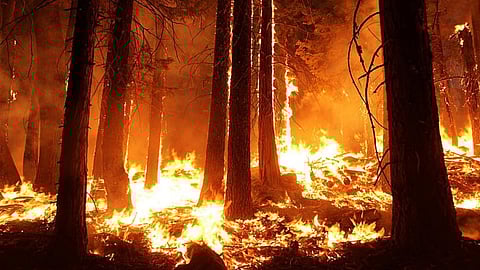 Unravelling the escalating forest fire crisis in Uttarakhand