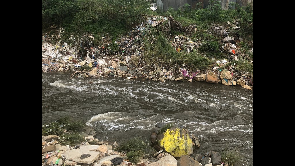 Visualizing the Vrishabhavathi river to keep it alive