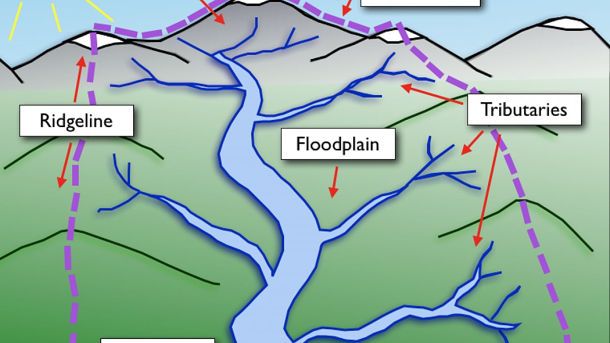 Frequently Asked Questions (FAQs) - Watershed