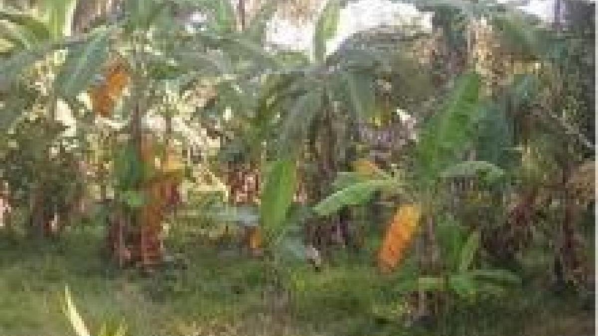 A commerce ex-lecturer from Karnataka's Udupi district converts 25 ...