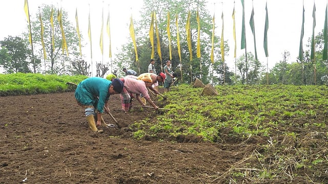 South Sikkim adapts to climate change