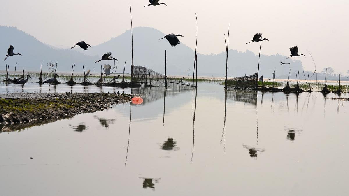Deepor beel: Entangled in a net of dangers
