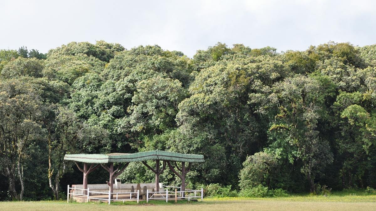 Reverence abounds in this lawkyntang