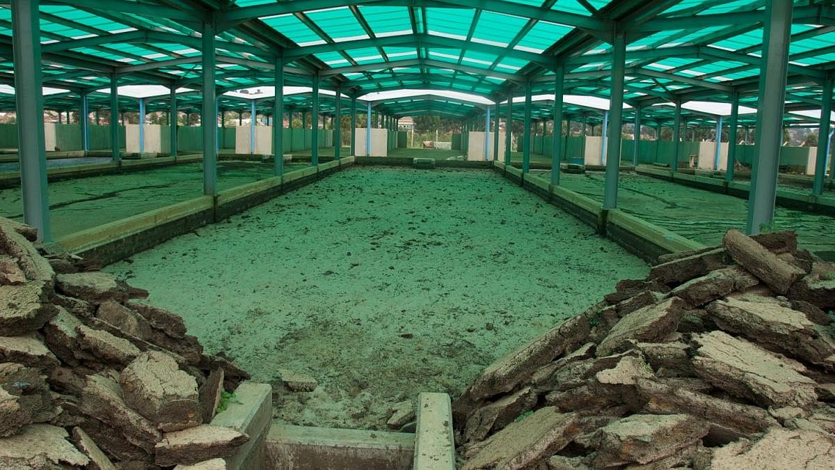 FAQs: Faecal sludge and septage management