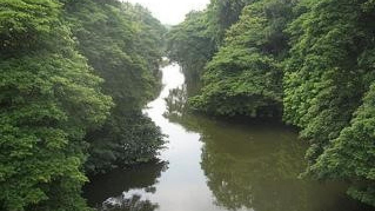 From worshipped to diseased - the slide of the Karamana river in Kerala