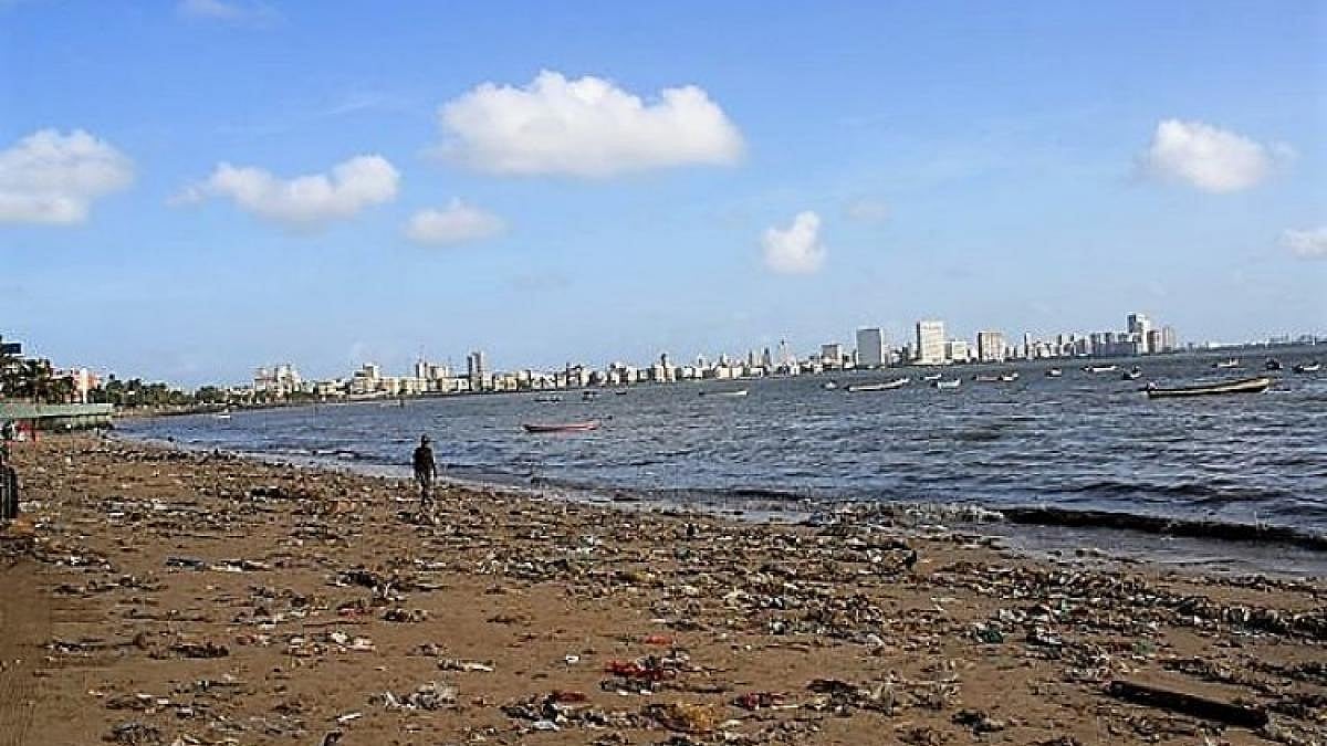 The garbage siege of our coasts