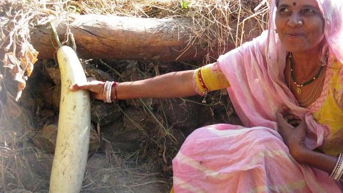Well revival effort sees many other benefits