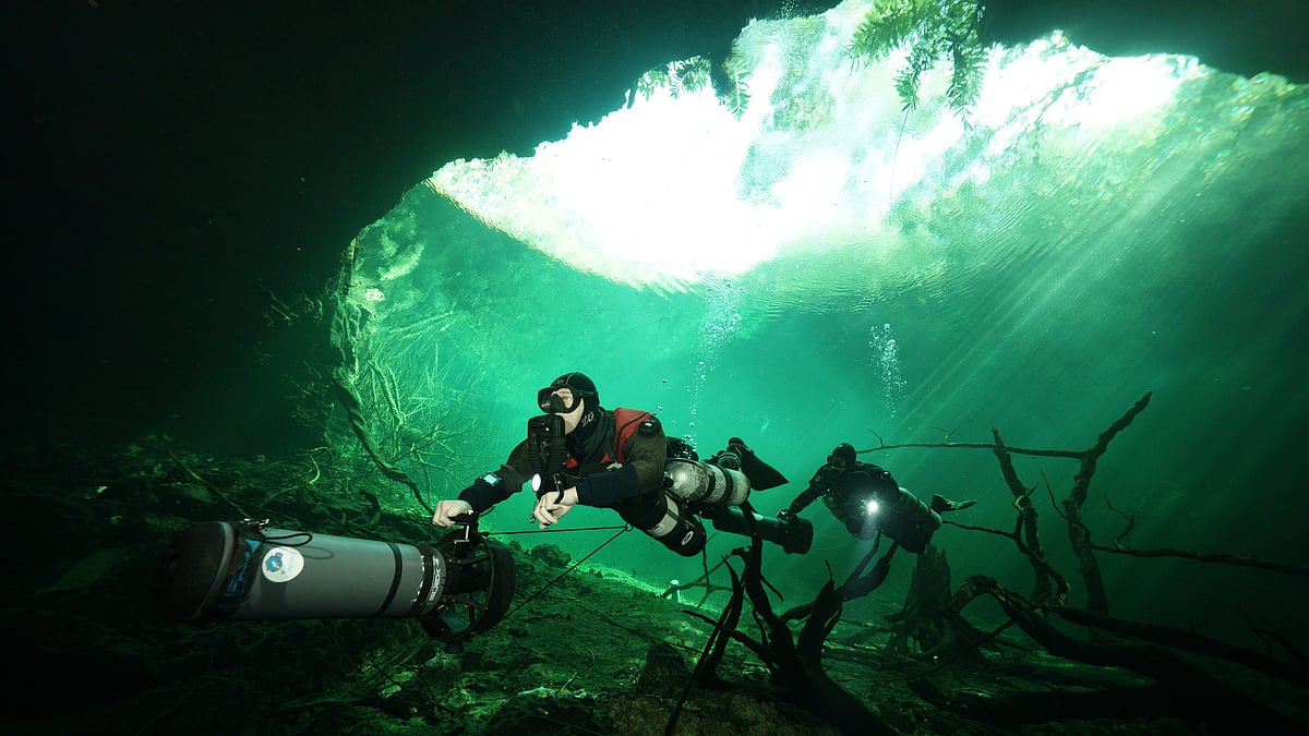 Planet Earth III is here and the much-awarded show will be screened on ...