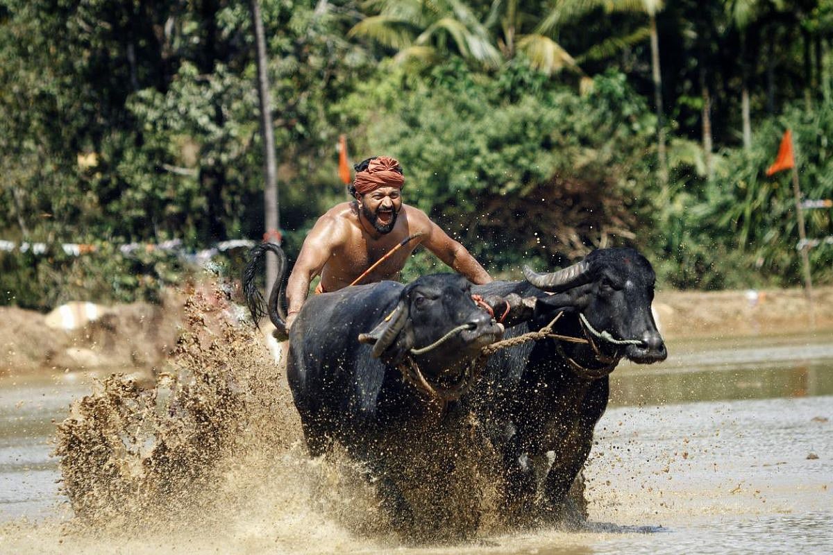 70th National Awards: Rishab Shetty dedicates award to late Kannada ...