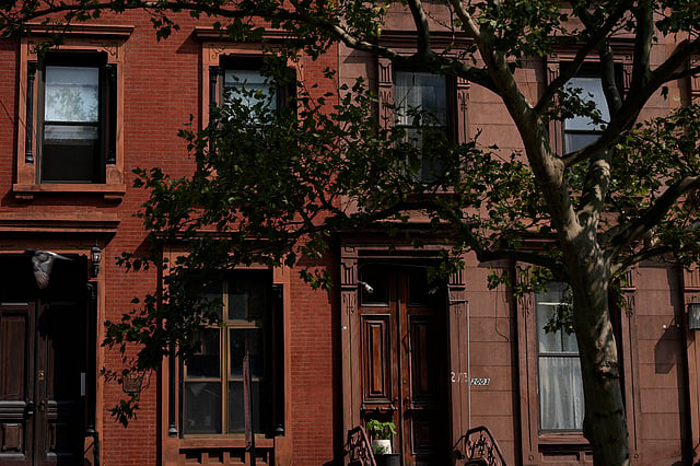 From crisis to renaissance, 50 years of Harlem Week shows how an NYC ...