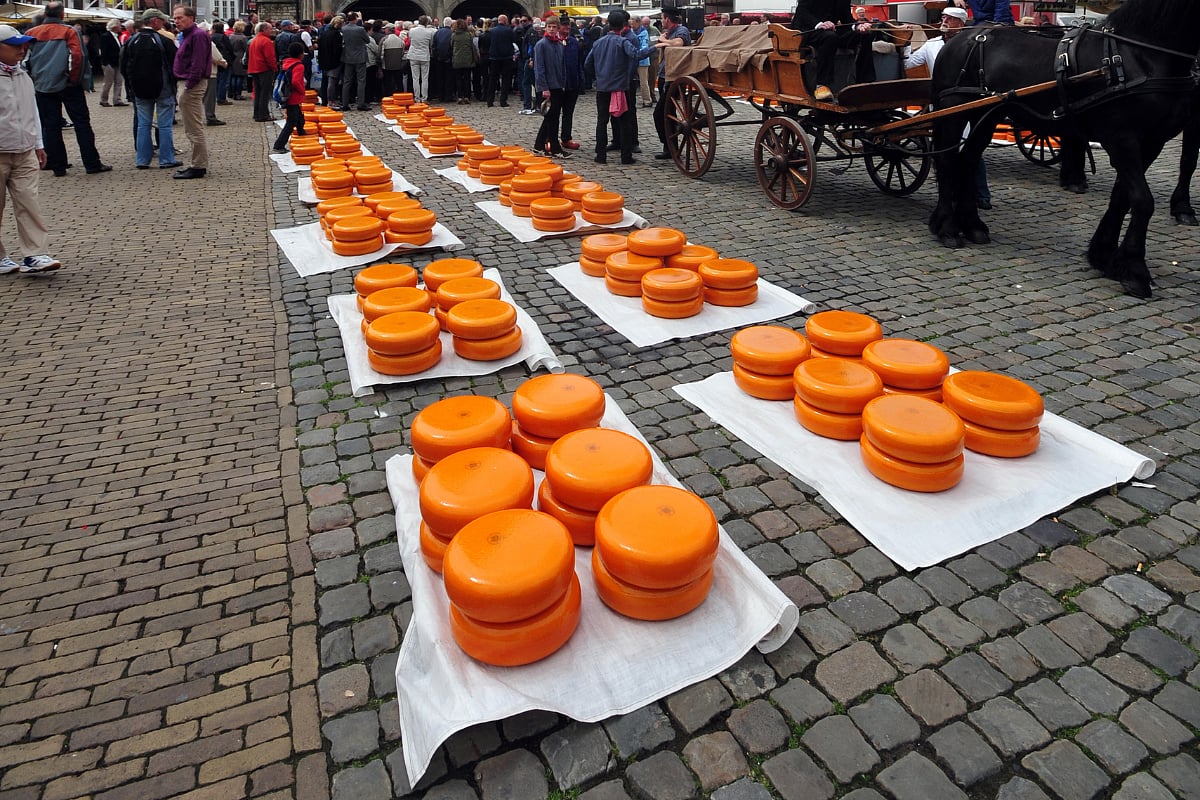 5 Unique Aged Cheeses from Around the World