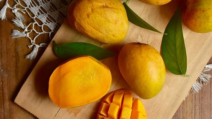 Alphonso mango’s surprising Portuguese origins: The grafting story of a ...