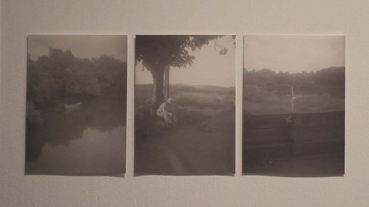 Goan artist Rai shines through her works on coastal wetlands in Kolkata ...