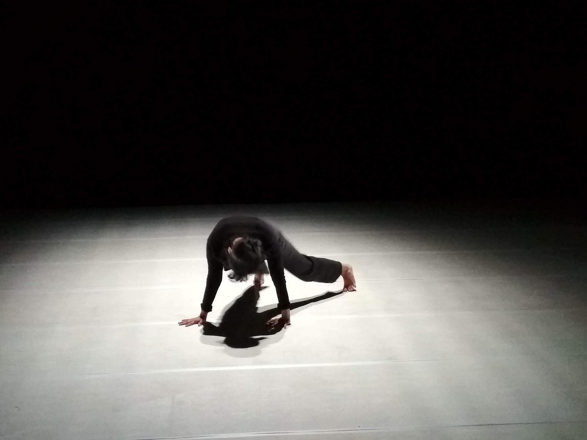 The body beautiful: Movement arts meet contemporary performances at ...