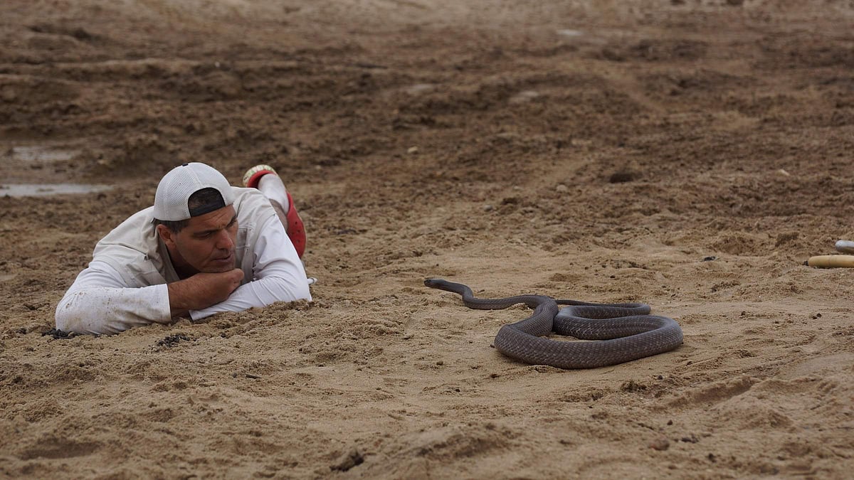 Holy Snakes: Frank Cuesta's latest quest is to search for the deadliest ...